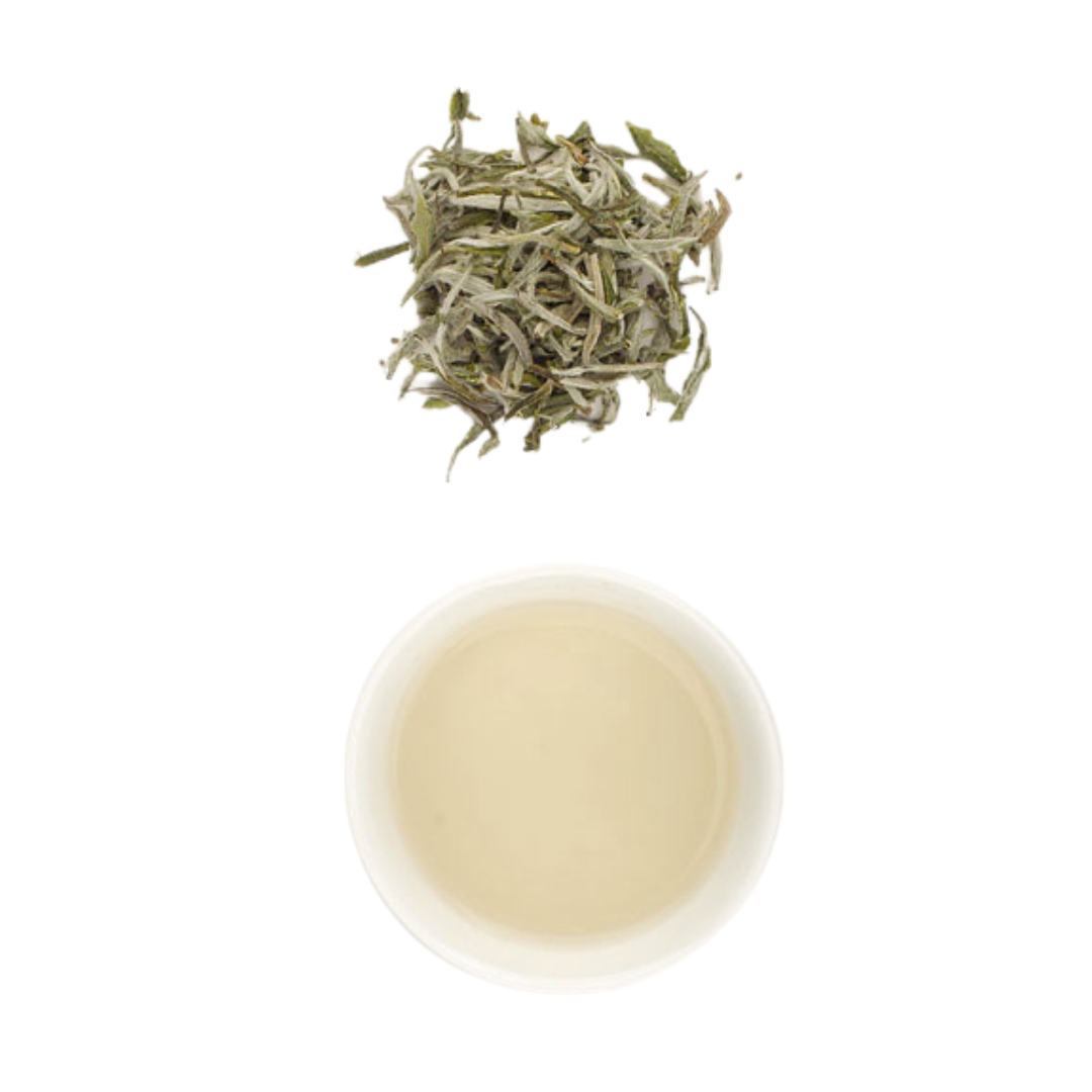 Silver Needles Premium White Tea – T BAR TEA